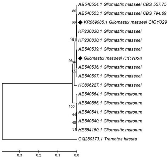 Identification of Insect-Deterrent Metabolites from Acremonium masseei ...
