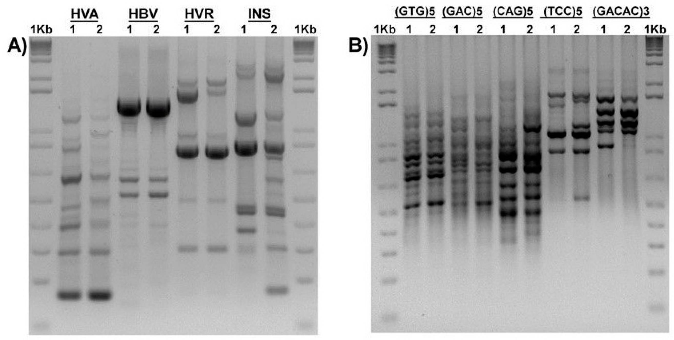 Identification of Insect-Deterrent Metabolites from Acremonium masseei ...