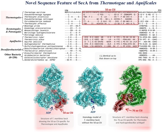 Microorganisms | Special Issue : Extremophiles and Extremozymes in ...