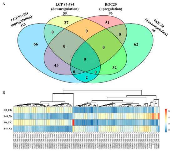 Microorganisms | Free Full-Text | Identification of Differentially Expressed Proteins in ...