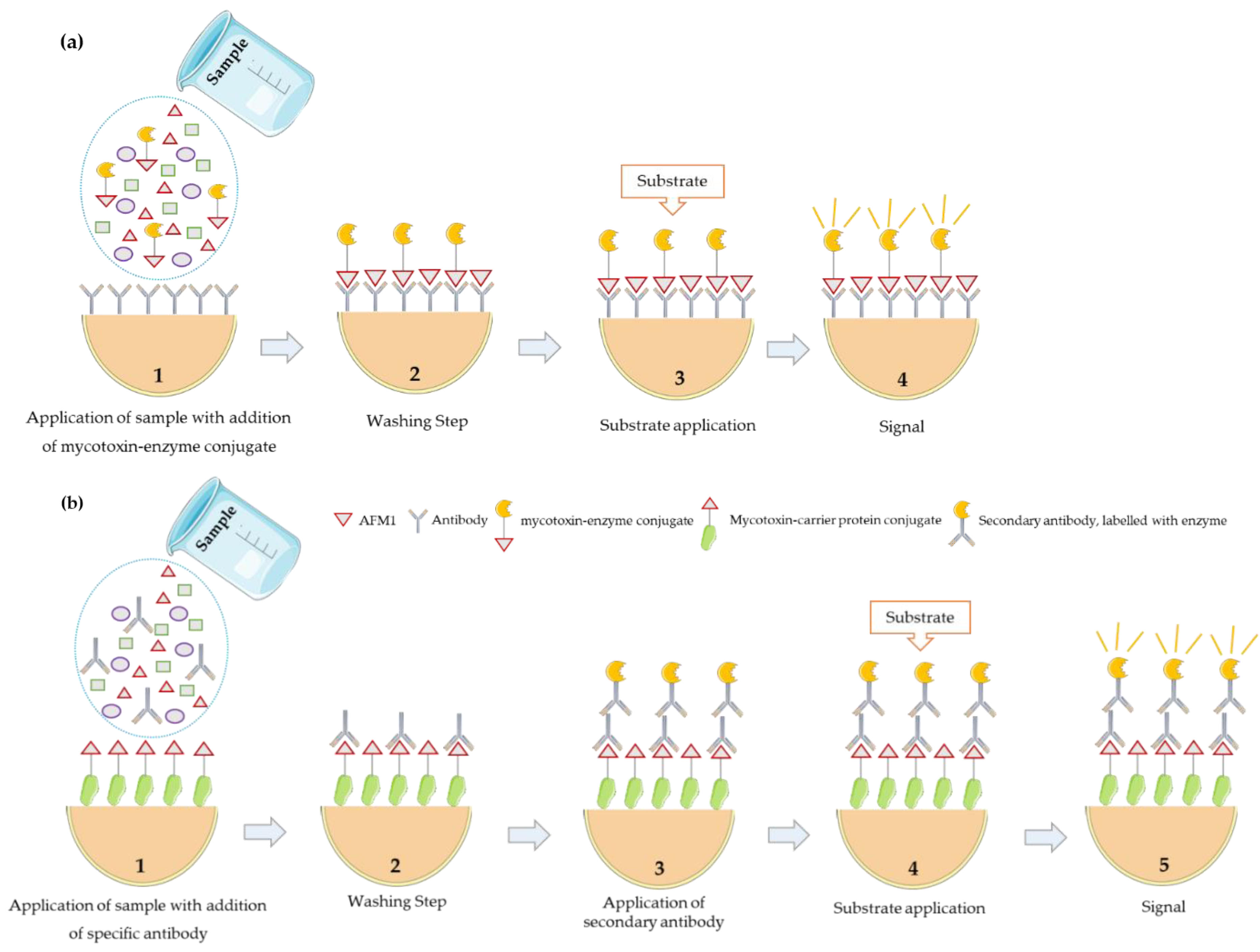 Microorganisms Free Full Text Detection Methods For Aflatoxin M1 In