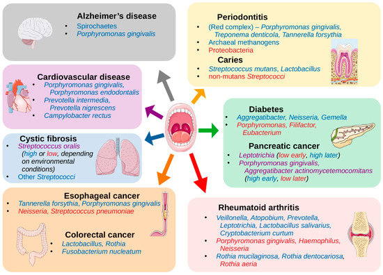 The Human Oral Microbiome in Health and Disease: From Sequences to ...
