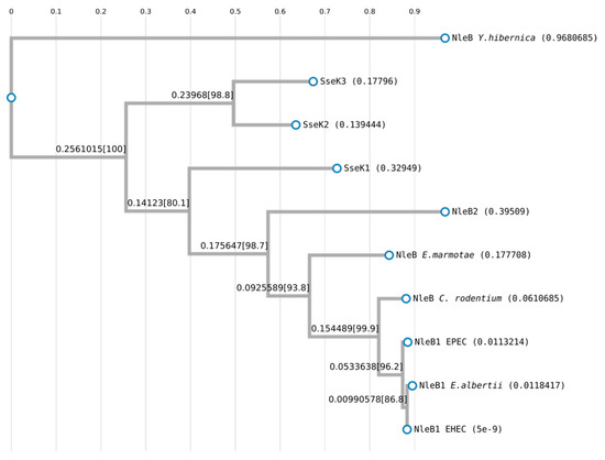 Type III Secretion Effectors with Arginine N-Glycosyltransferase Activity