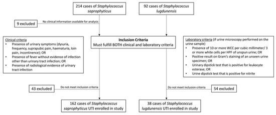 Emergence of Staphylococcus lugdunensis as a Cause of Urinary Tract ...