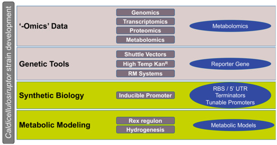 Microorganisms | Special Issue : Extremophiles and Extremozymes in ...