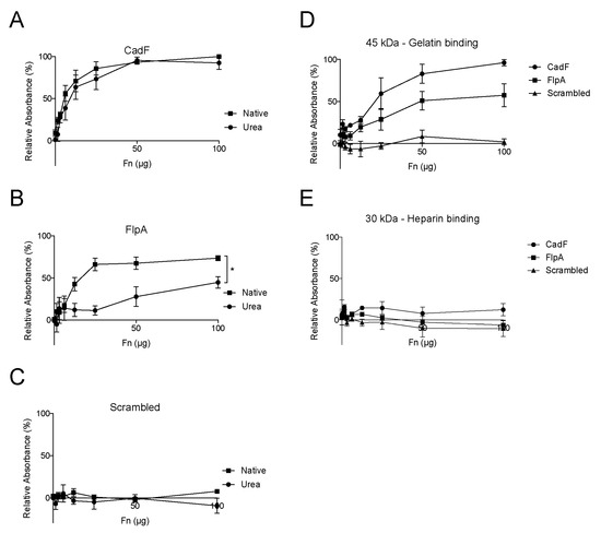 Molecular Dissection of the Campylobacter jejuni CadF and FlpA ...