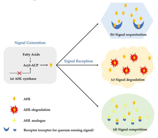 Microorganisms | Free Full-Text | Quorum-Sensing Regulation of ...
