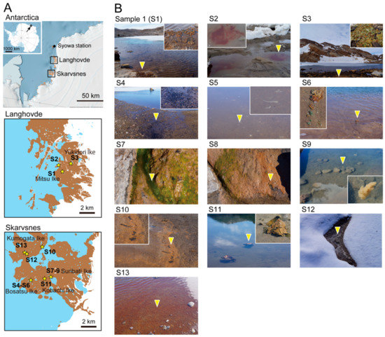 Investigating Algal Communities in Lacustrine and Hydro-Terrestrial ...