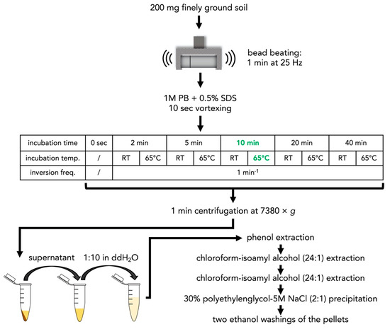 Improved Protocol for DNA Extraction from Subsoils Using Phosphate Lysis Buffer
