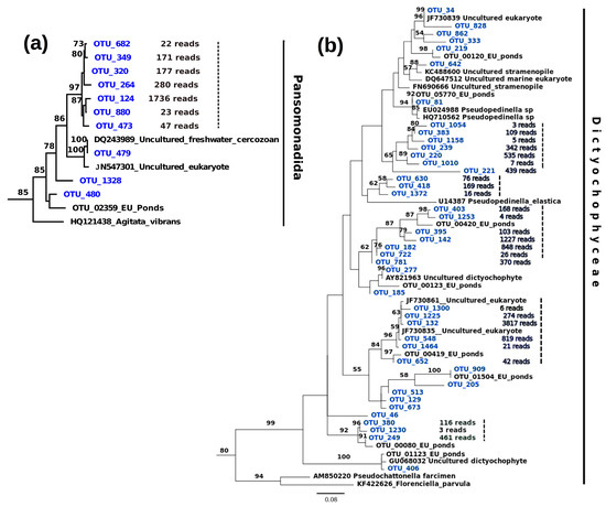 Tracing the Origin of Planktonic Protists in an Ancient Lake