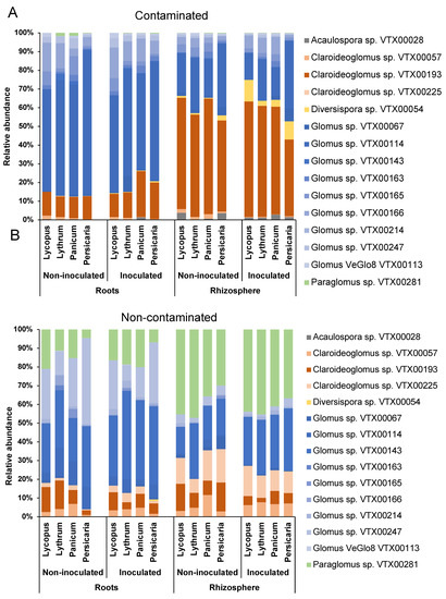 Microorganisms | Free Full-Text | Arbuscular Mycorrhizal Fungal Assemblages Significantly ...