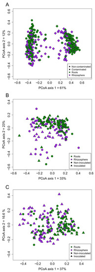 Microorganisms | Free Full-Text | Arbuscular Mycorrhizal Fungal Assemblages Significantly ...