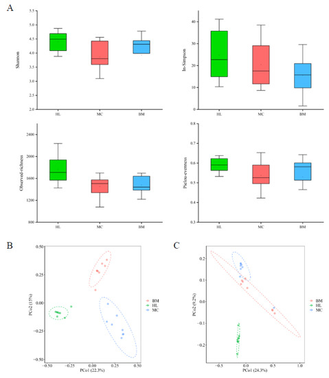Microorganisms | Free Full-Text | Revealing Fungal Communities in ...