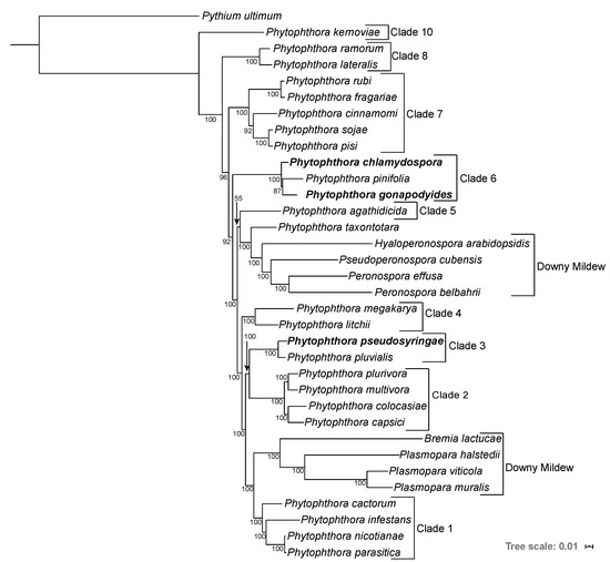 Comparative Genomic and Proteomic Analyses of Three Widespread ...