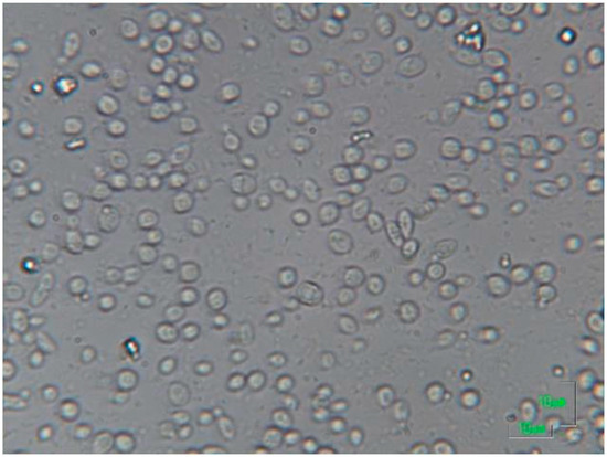 Microorganisms | Free Full-Text | Combined Use of Lachancea ...