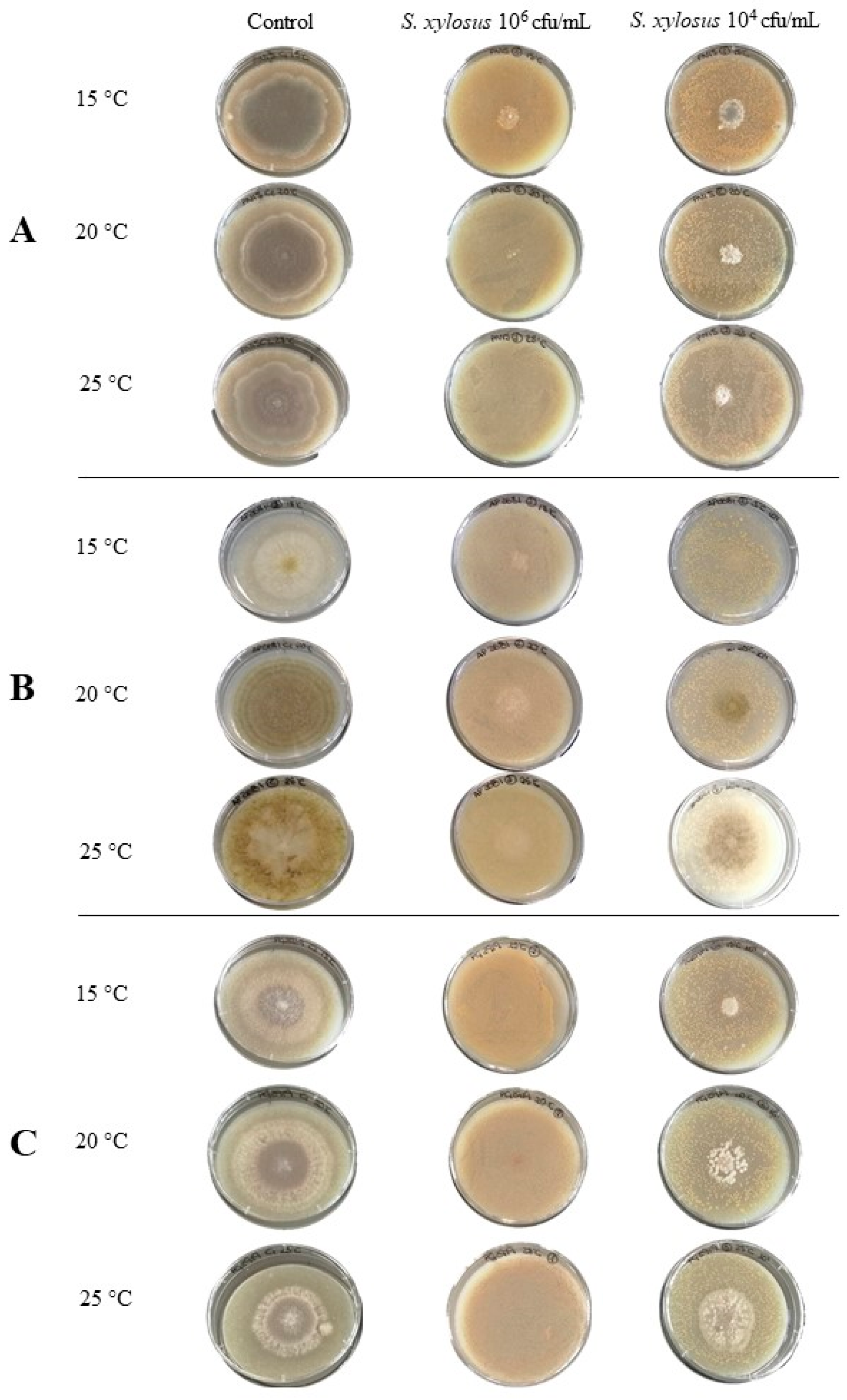 Microorganisms | Free Full-Text | Selection and Evaluation of ...