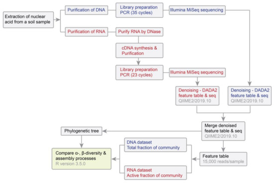 Comparing the Influence of Assembly Processes Governing Bacterial ...