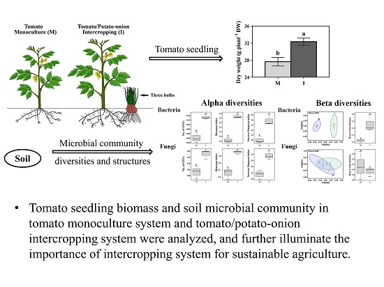 Microorganisms | Free Full-Text | Intercropping with Potato-Onion ...