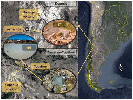Microorganisms | Special Issue : Microbial Diversity in Extreme ...