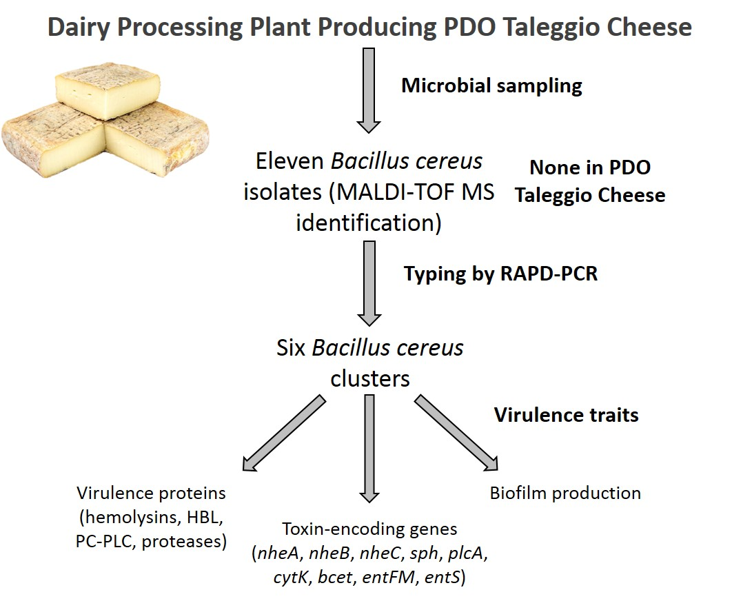 Microorganisms | Free Full-Text | Identification and Pathogenic ...