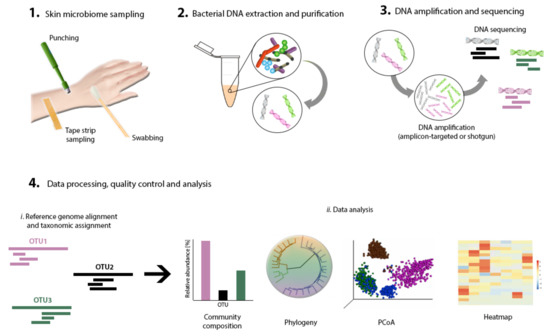 Extrinsic Factors Shaping the Skin Microbiome