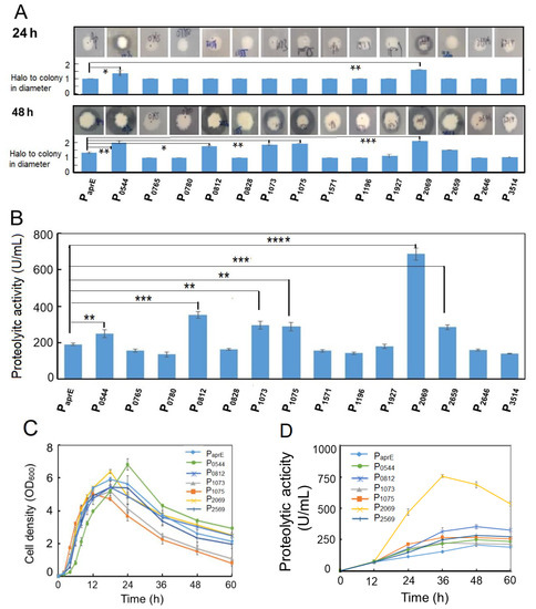 Construction of a High-Expression System in Bacillus through ...
