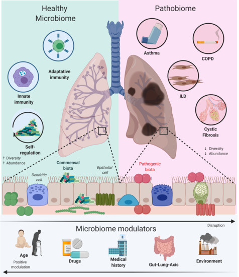 Microorganisms | Free Full-Text | Lung Microbiome Participation in Local Immune Response ...