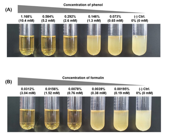 Microorganisms | Special Issue : Bacterial Stress Response Mechanisms ...