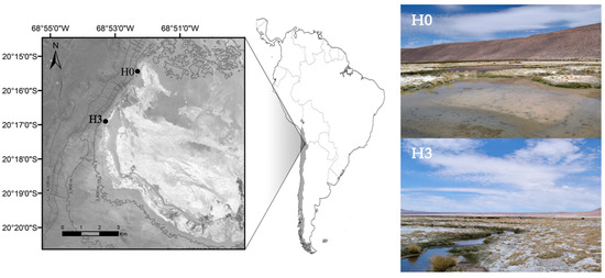 Microorganisms | Special Issue : Microbial Diversity in Extreme ...