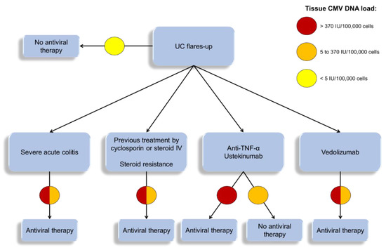 Cytomegalovirus and Inflammatory Bowel Diseases (IBD) with a Special ...
