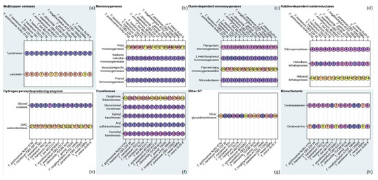 Genome Sequence of Trichoderma lixii MUT3171, A Promising Strain for Mycoremediation of PAH ...