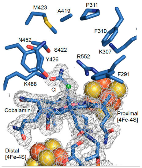 Catabolic Reductive Dehalogenase Substrate Complex Structures Underpin ...