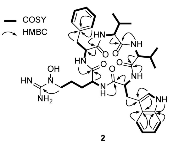 Microorganisms | Free Full-Text | Pentaminomycins C–E: Cyclic ...