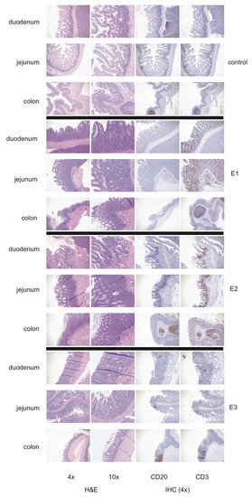 Discovery of a Novel Simian Pegivirus in Common Marmosets (Callithrix ...