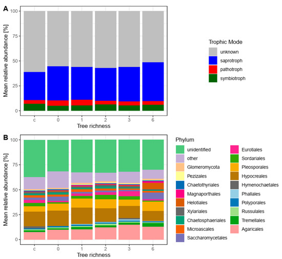 Legacy Effects Overshadow Tree Diversity Effects on Soil Fungal ...