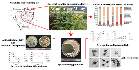Microorganisms | Special Issue : Microbial Isolation and Characterization
