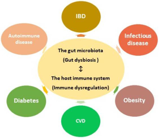 Gut Microbiota and Immune System Interactions