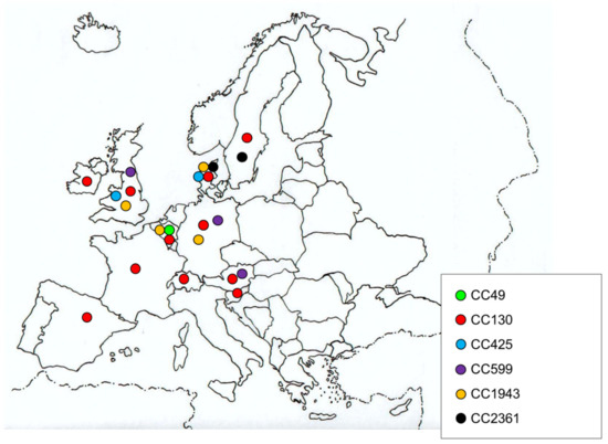 Human mecC-Carrying MRSA: Clinical Implications and Risk Factors