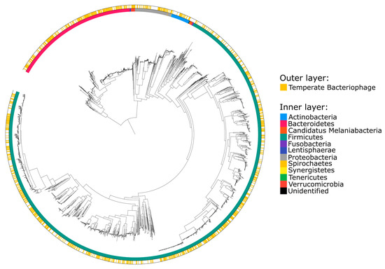 Ecological Structuring of Temperate Bacteriophages in the Inflammatory ...