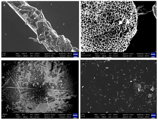 Disinfectant, Soap or Probiotic Cleaning? Surface Microbiome Diversity ...