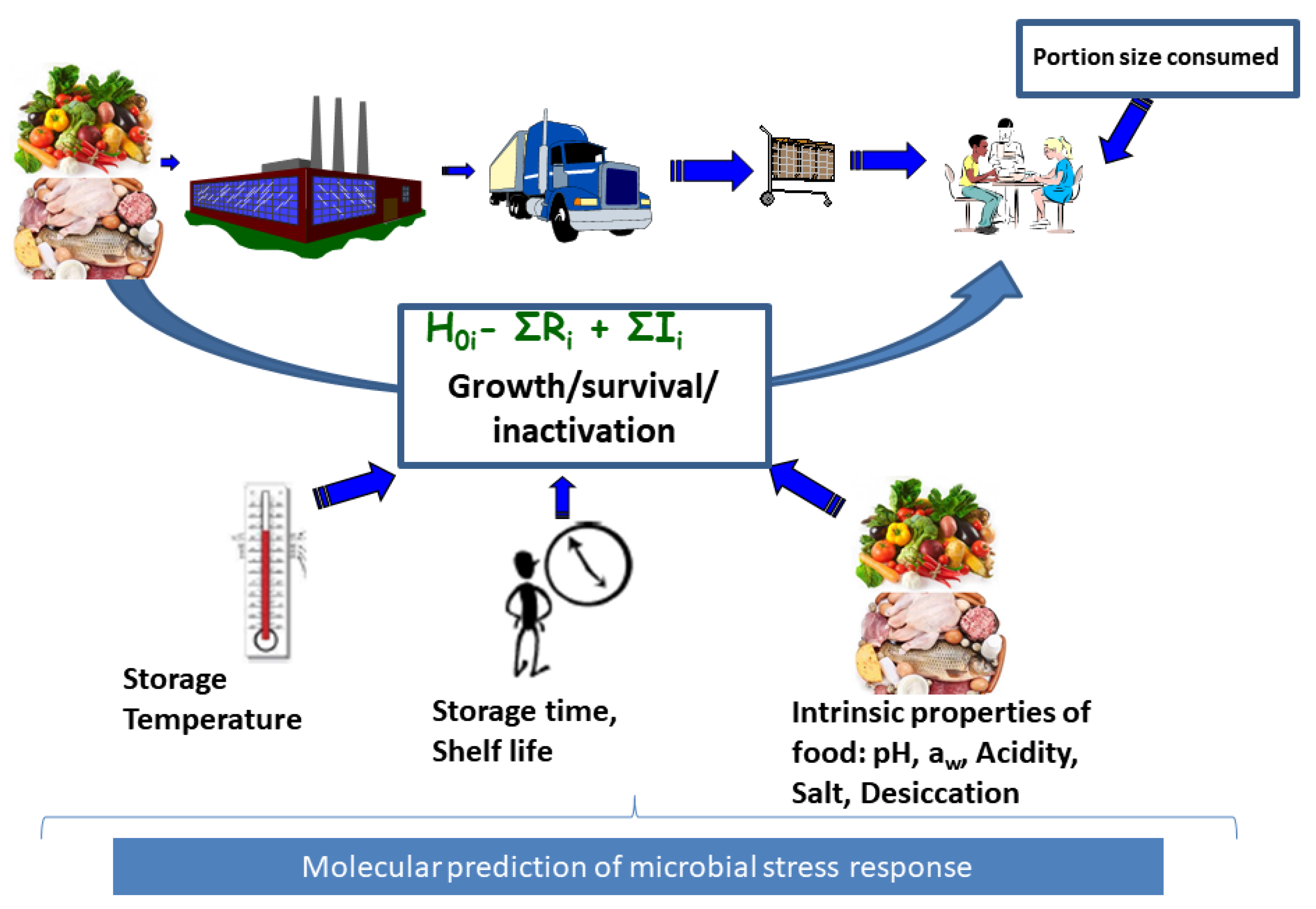 Microorganisms | Free Full-Text | Quantitative Microbial Risk Assessment Based on Whole Genome ...