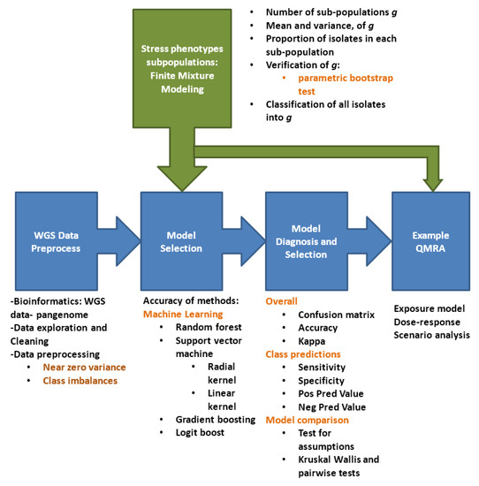 Microorganisms | Free Full-Text | Quantitative Microbial Risk Assessment Based on Whole Genome ...