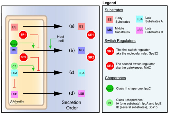The T3SS of Shigella: Expression, Structure, Function, and Role in ...