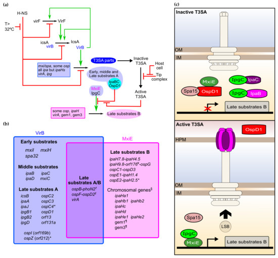 The T3SS of Shigella: Expression, Structure, Function, and Role in ...