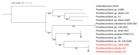 Simultaneous Genome Sequencing of Prosthecochloris ethylica and ...