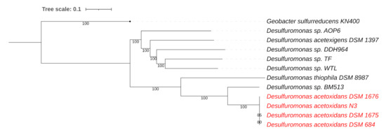 Simultaneous Genome Sequencing of Prosthecochloris ethylica and ...