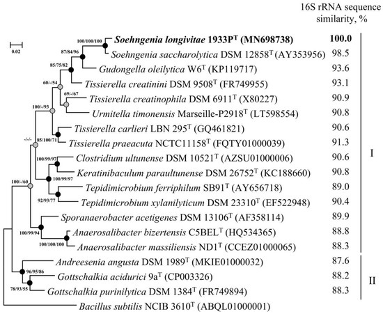 Microorganisms | Special Issue : Microbial Diversity in Extreme ...