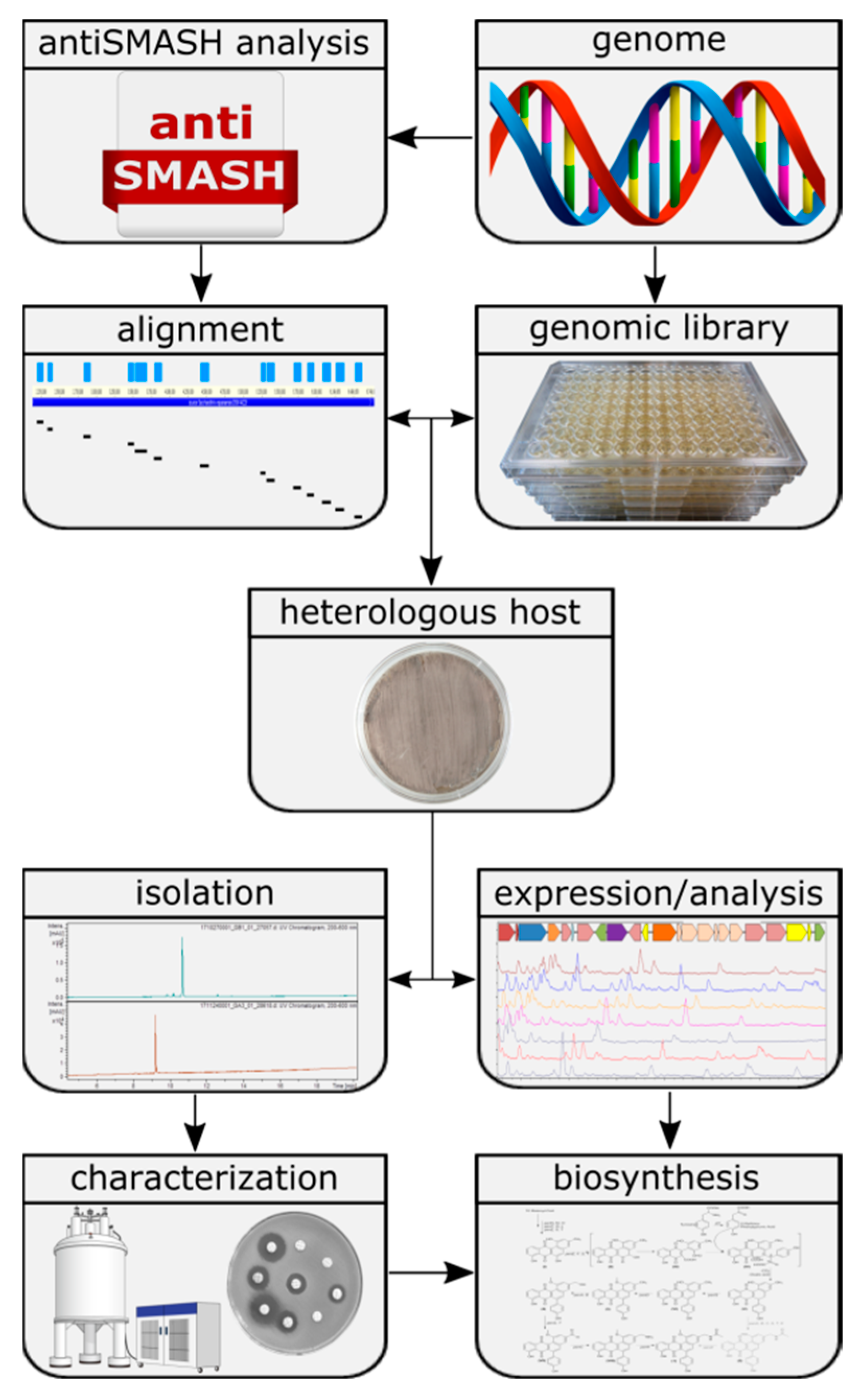 Targeted Genome Mining—From Compound Discovery to Biosynthetic Pathway ...
