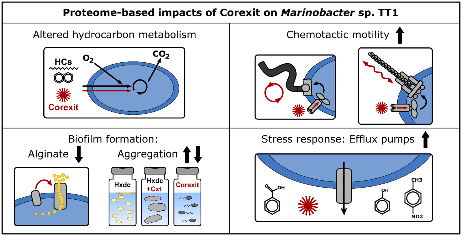 Microorganisms | Free Full-Text | Comparative Proteomics of ...
