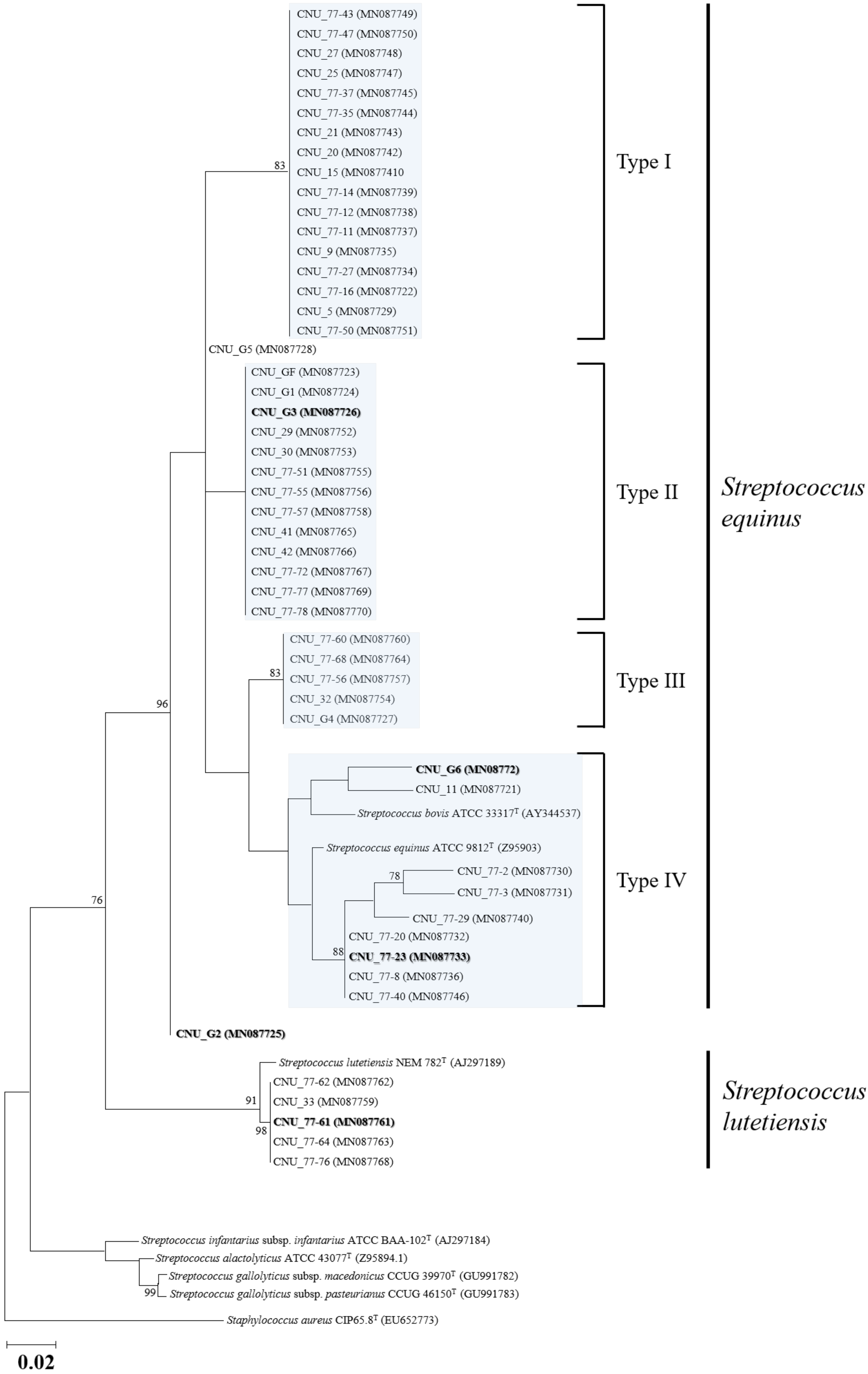 Streptococcus Bovis Identification